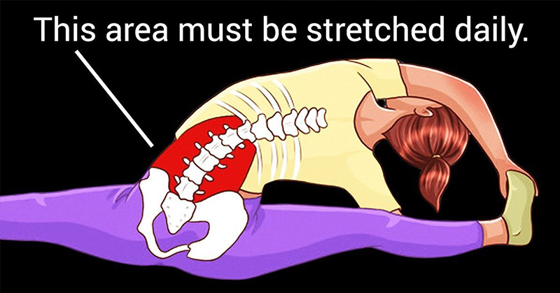 10 Spine Stretches To Help Relax Your Back