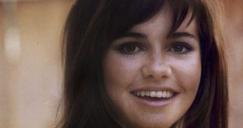 Sally Field: The Life and Career of an Oscar Winning Actress : Secret ...