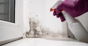 6 Ways to Kill Mold Naturally