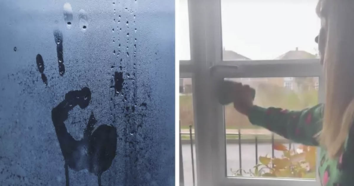 Woman Discovers Brilliant Hack to Stop Window Condensation : Secret ...