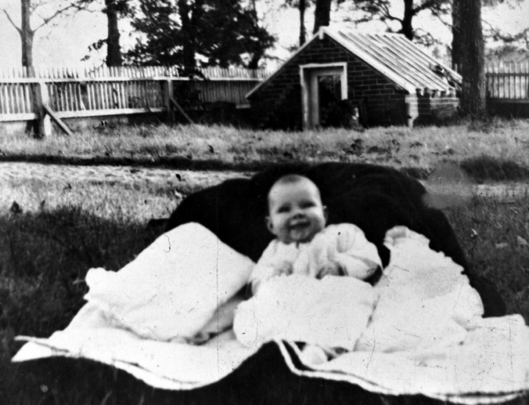 Jimmy Carter Pays Emotional Tribute to Wife of 77 Years, Rosalynn ...