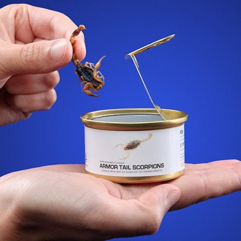 25+ Examples of Unusual Canned Foods From The US and Around the World