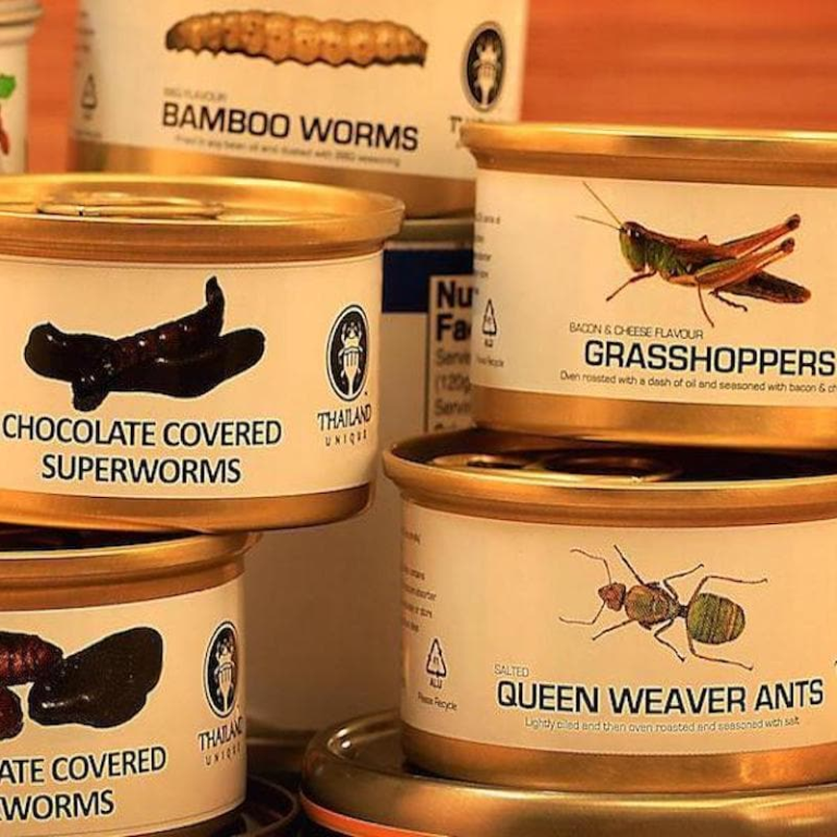 25+ Examples of Unusual Canned Foods From The US and Around the World ...