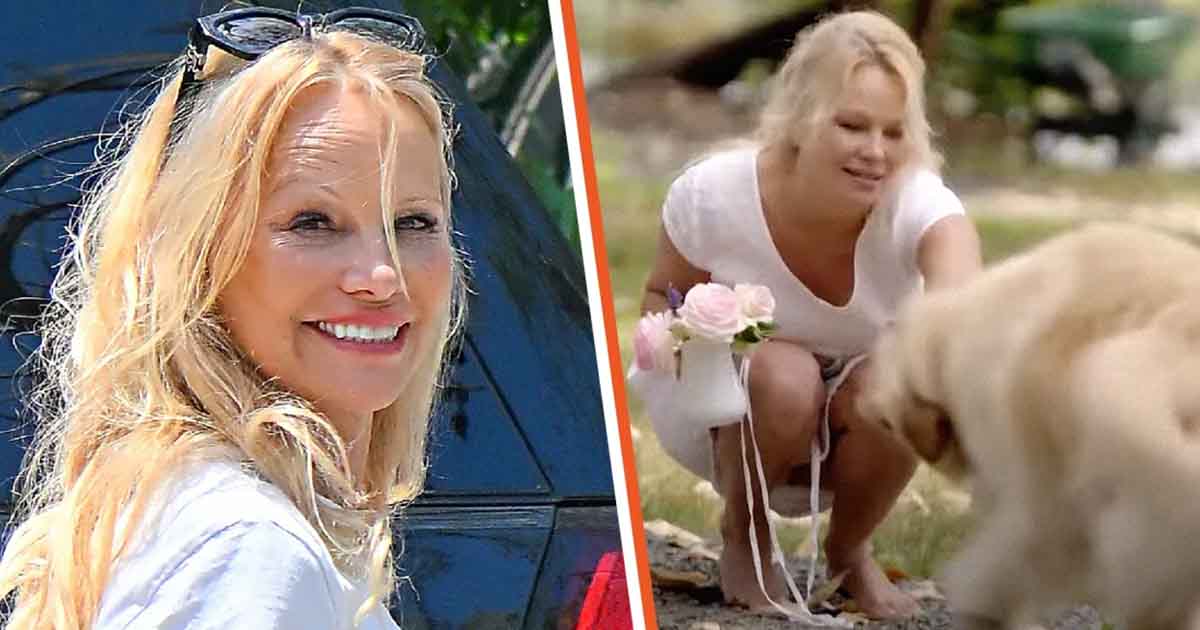 Pamela Anderson Sold Home for $11.8M to Live Alone with 5 Dogs in ...