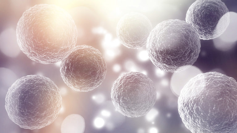 Attention, Parents! You Might Want To Hold On To Your Kids' Baby Teeth ...