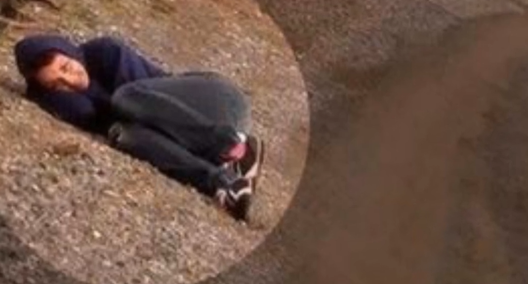 She Played Dead On The Side of The Road and When You Realize Why, It ...
