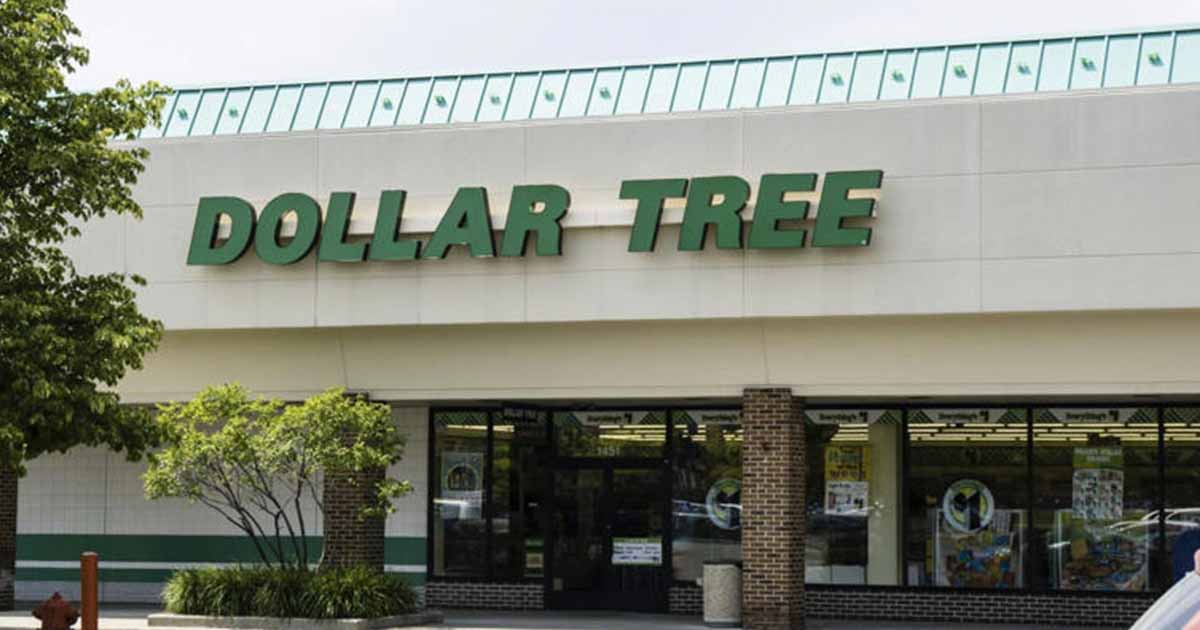 8 Things to Purchase At The Dollar Tree Before Winter