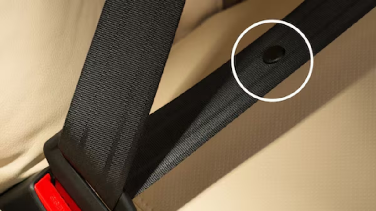 That Tiny Button on Your Seatbelt: Here’s What It’s For