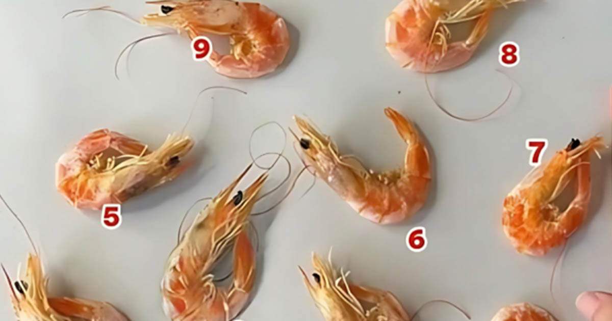 Can You Spot The Error In Each Image in 10 Seconds or Less?