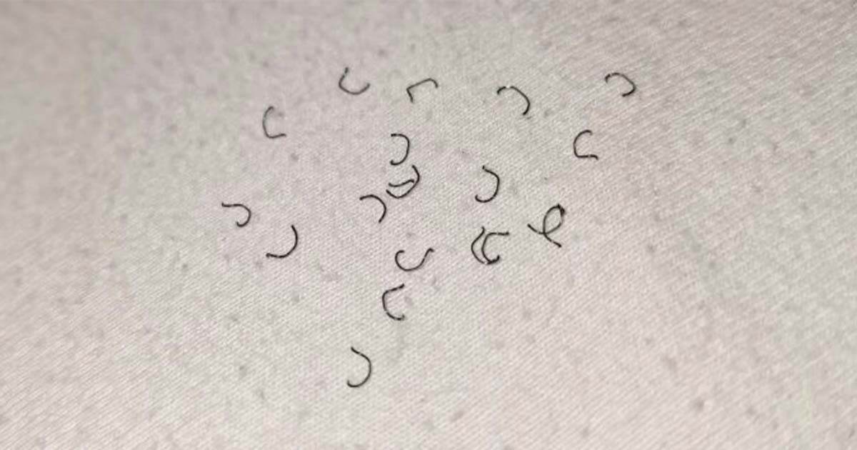13 Mystery Items People Had to Internet to Help Identify
