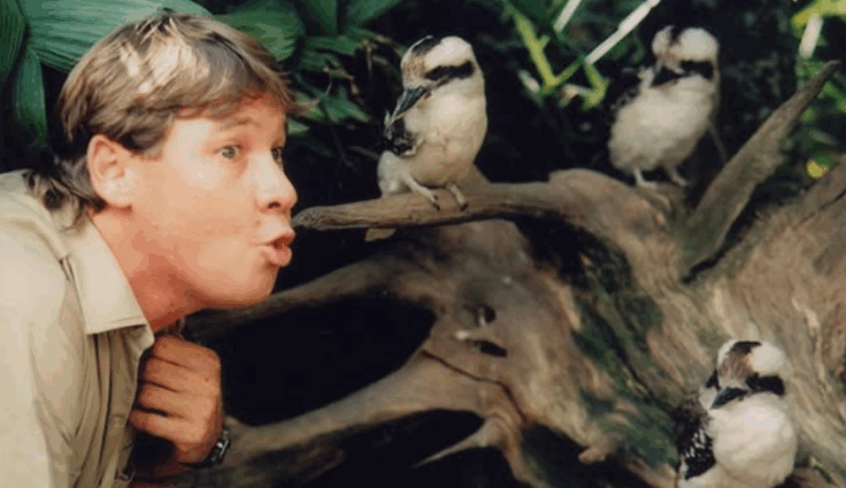 Steve Irwin’s Cameraman Opens Up About the Crocodile Hunter’s Last Words