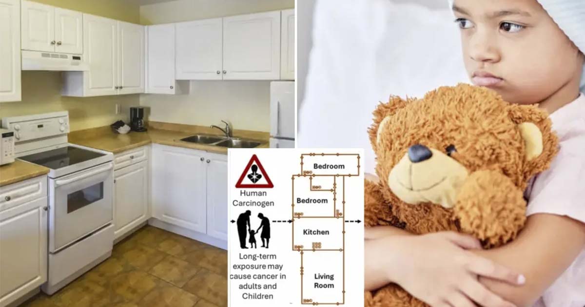 Gas Stove Health Risks: Why Children Face Nearly Double the Cancer Risk ...