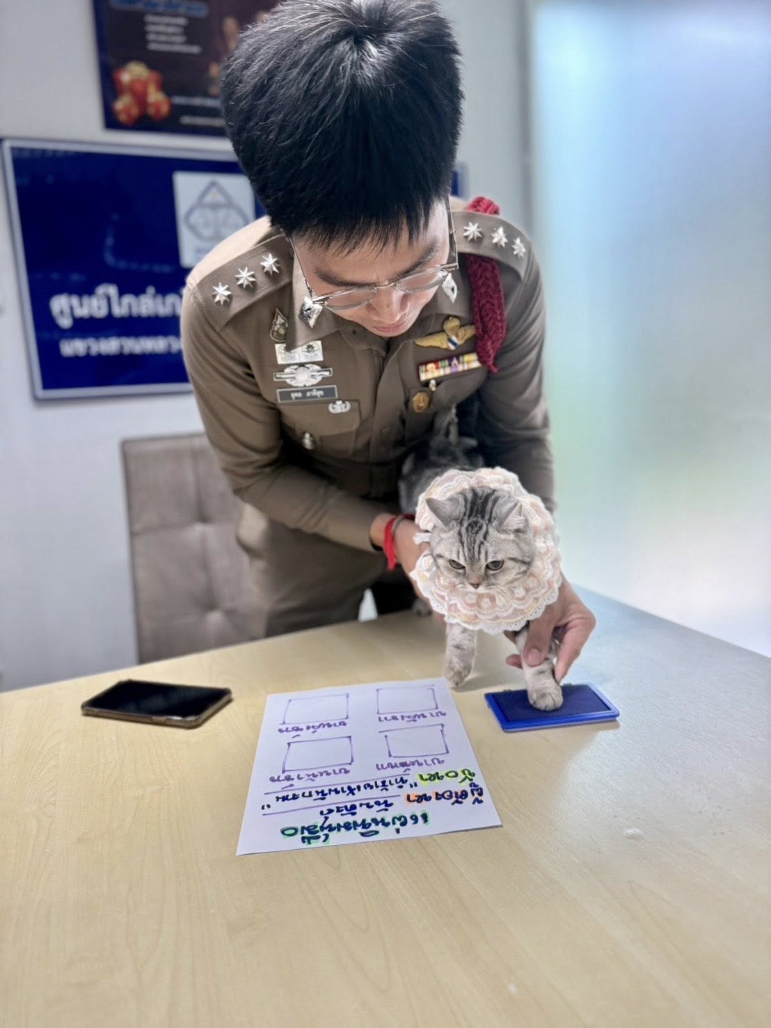 Cat ‘Arrested’ in Bangkok After Biting Cops During Rescue, Mugshot Goes ...
