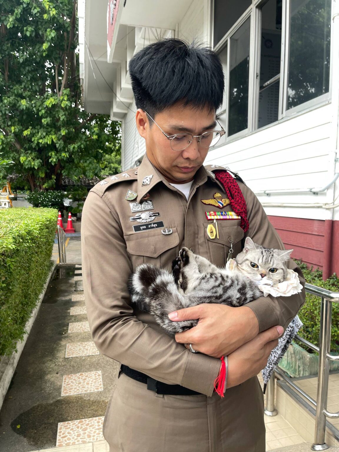 Cat ‘Arrested’ in Bangkok After Biting Cops During Rescue, Mugshot Goes ...