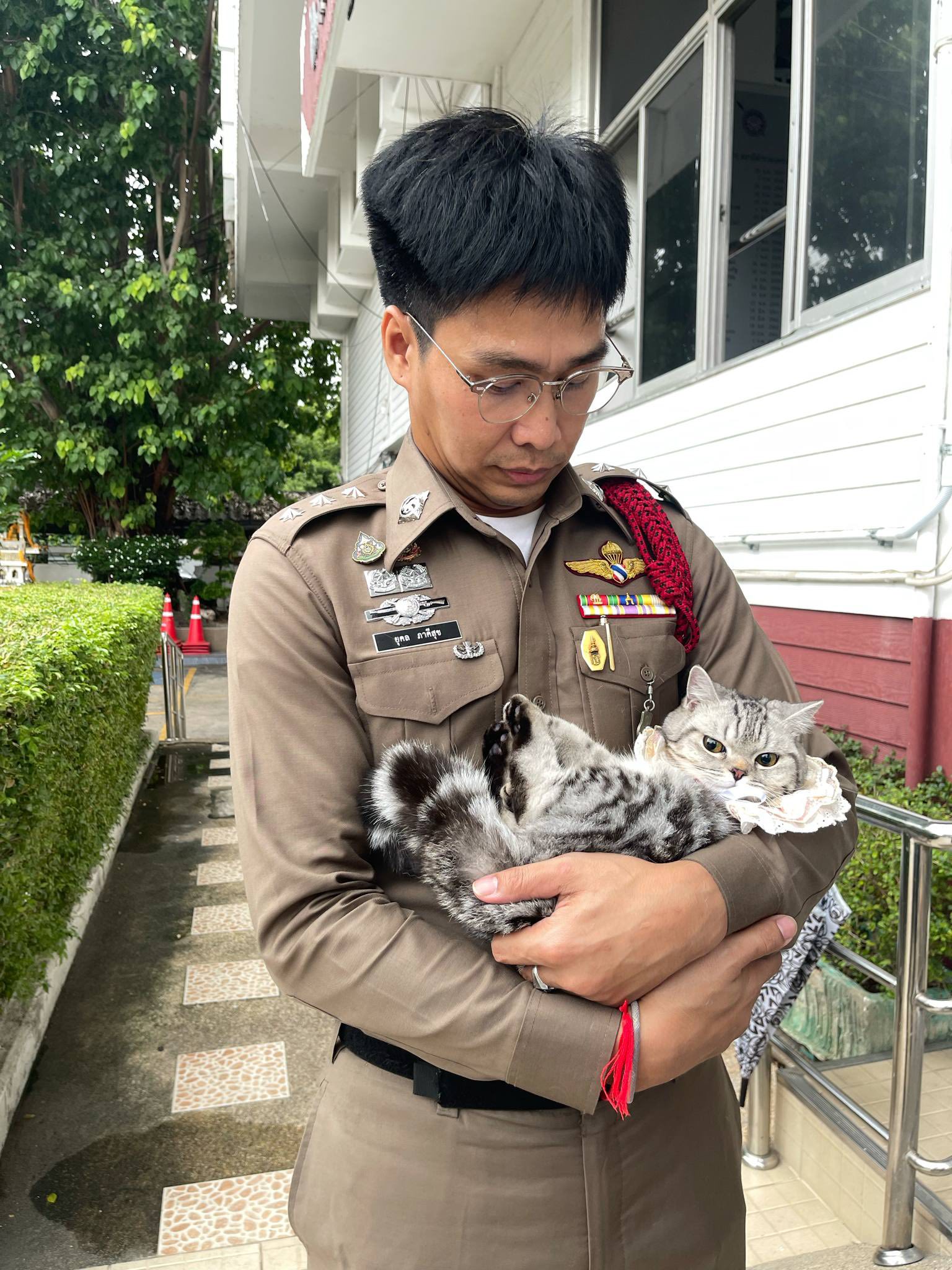 Cat ‘Arrested’ in Bangkok After Biting Cops During Rescue, Mugshot Goes ...