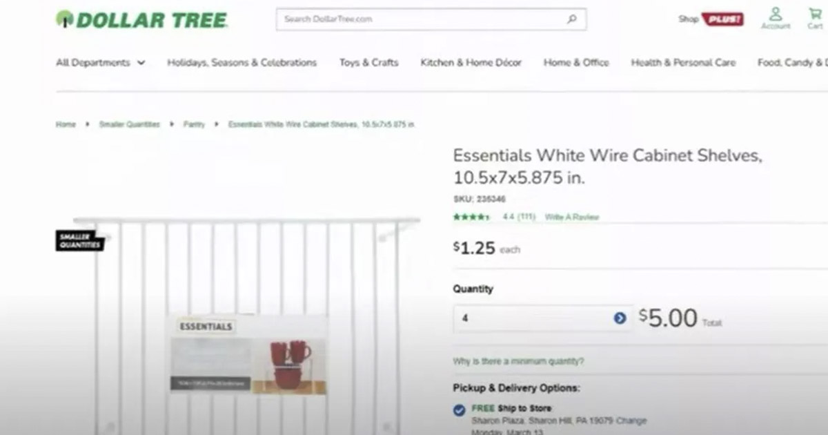 Best Dollar Tree Items to Buy in Bulk Online