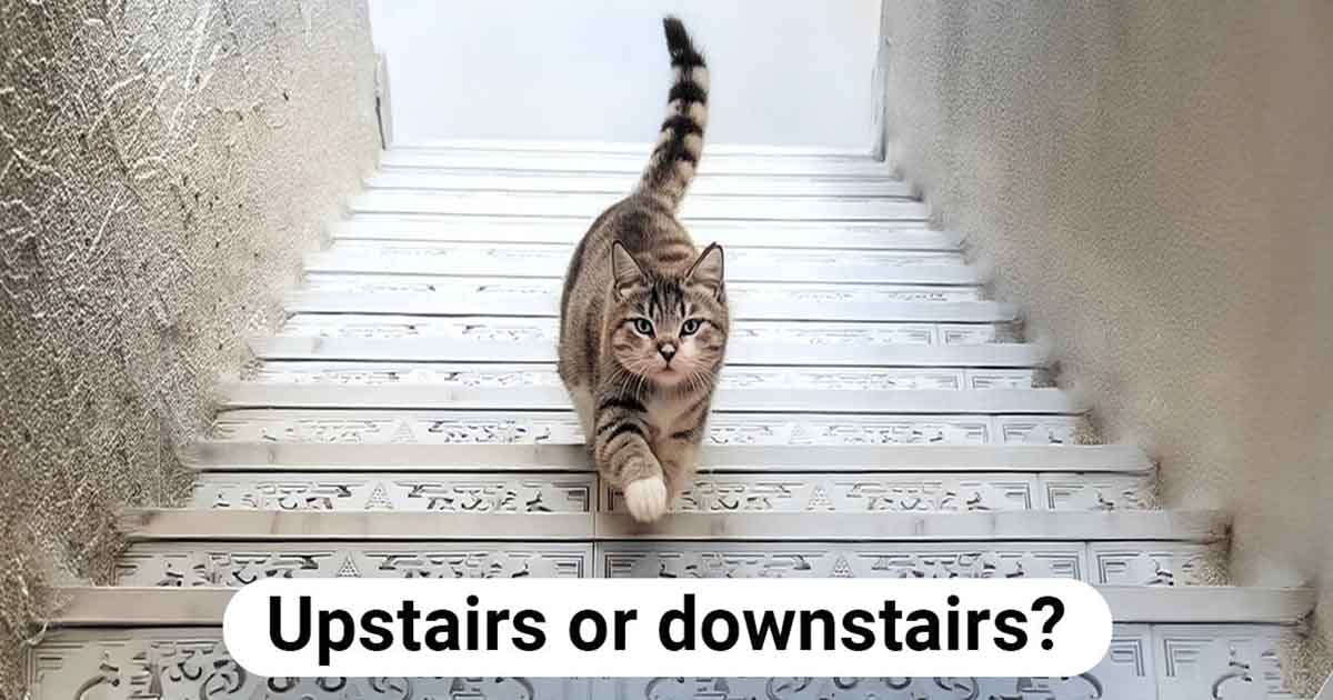 The First Thing You See Uncovers Surprising Facts About You
