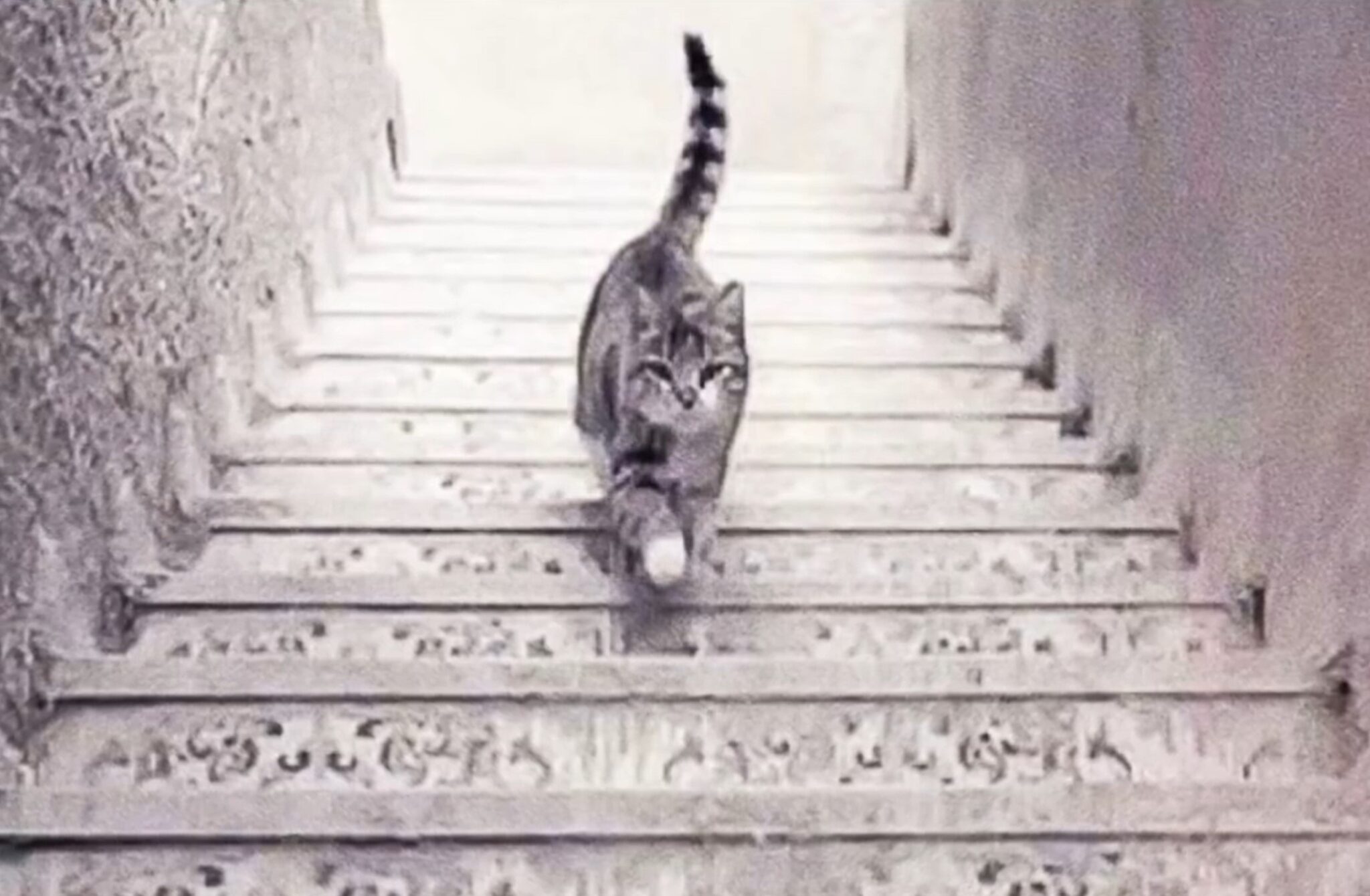 The First Thing You See Uncovers Surprising Facts About You