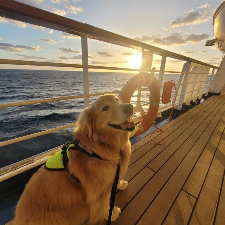 The Very First Dog-Friendly Cruise Sets Sail in 2025 : Secret Life Of Mom