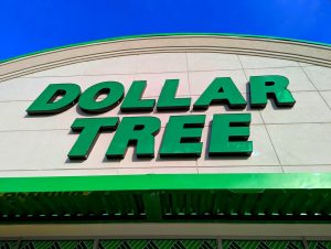 Best Dollar Tree Items to Buy in Bulk Online