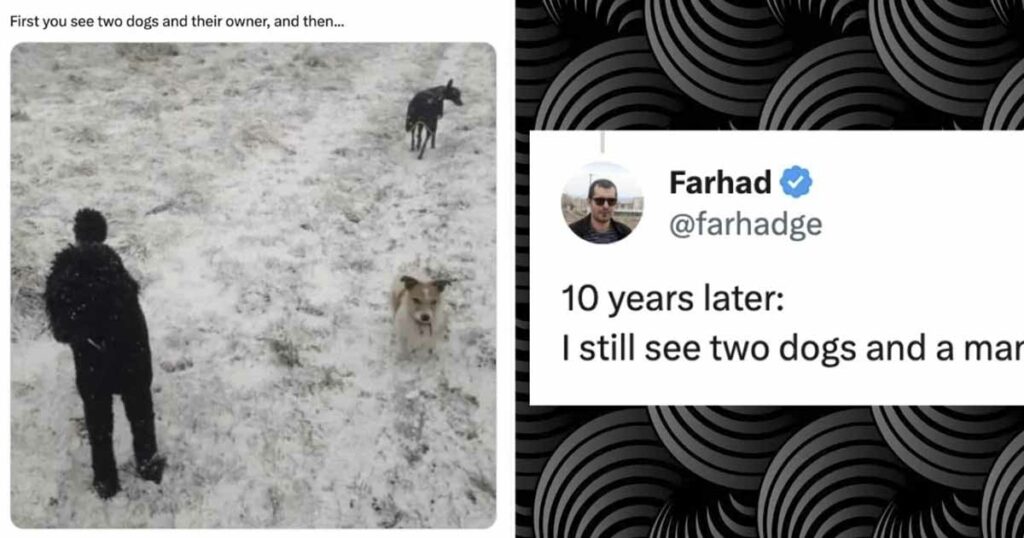 Optical Illusion That Looks Like a Person With Two Dogs Has The ...