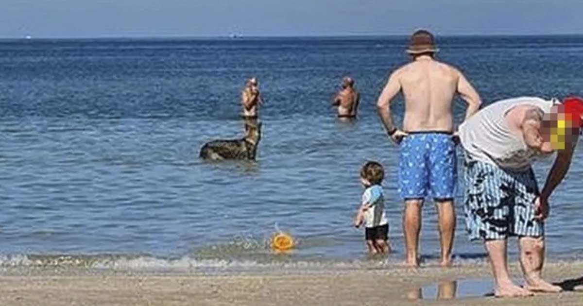 This Photo of People on a Beach is Turning Heads. Can You See Why?