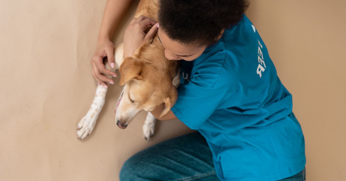 Dogs really do have favorite people: here's how they decide